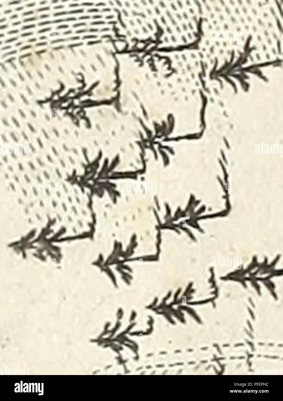 This work provides picturesque descriptions of modern landscape gardens ...