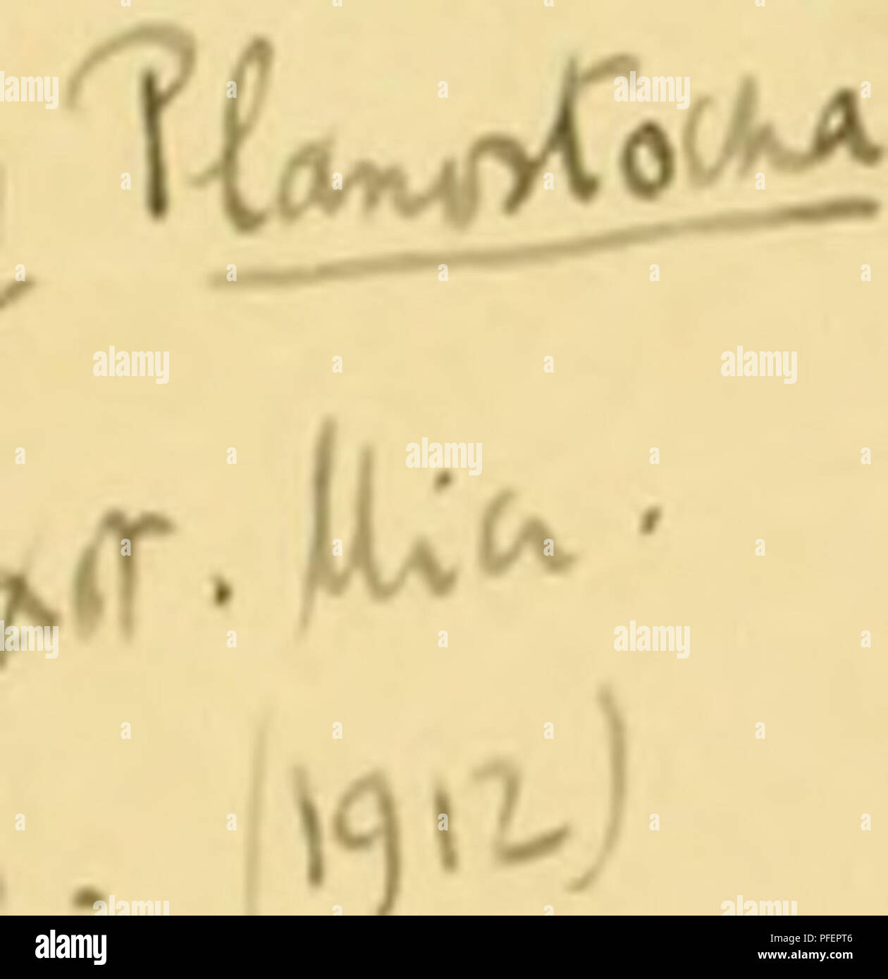 This work provides descriptions of various micro-lepidoptera species ...