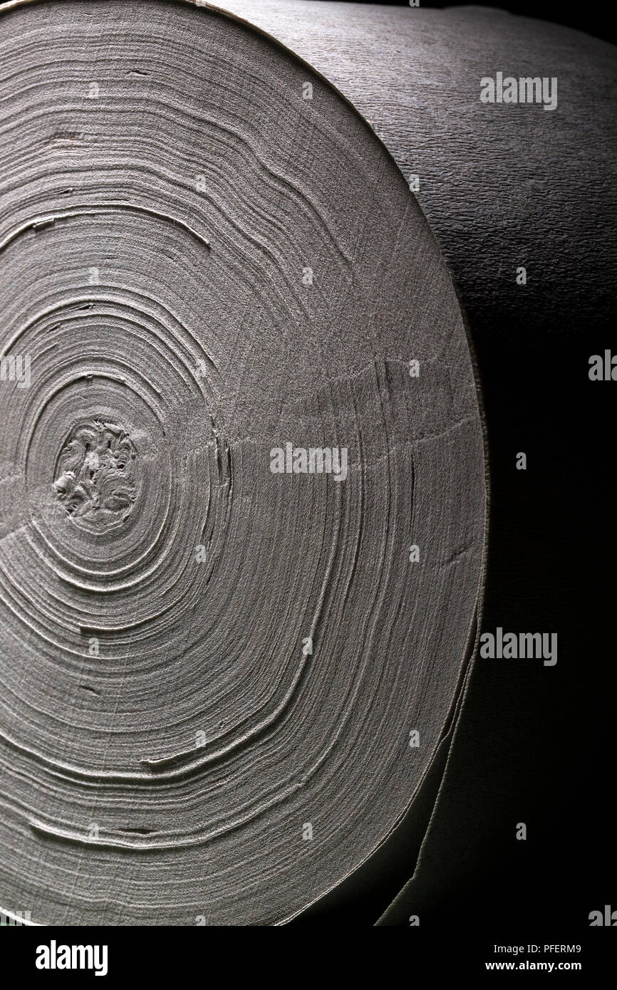 Texture of a roll of single-layer toilet paper Stock Photo - Alamy