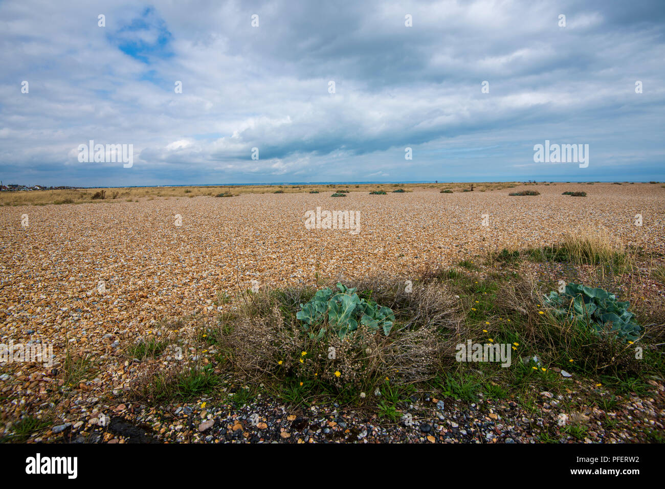 Dungeness, Kent - the greatest area of shingle beach in the whole world ...