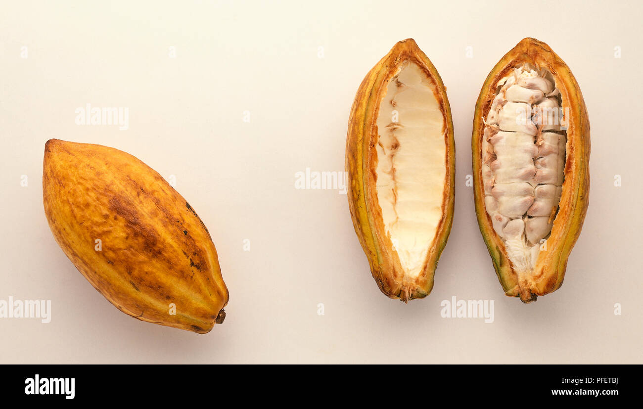 Cocoa pod halved open Stock Photo - Alamy