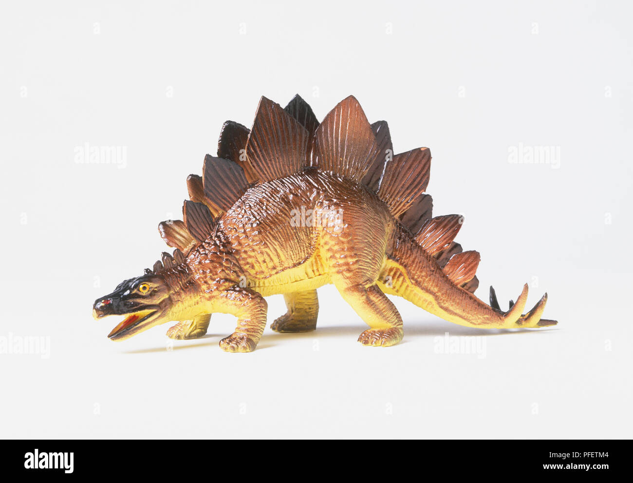 Model of a Stegosaurus Stock Photo - Alamy
