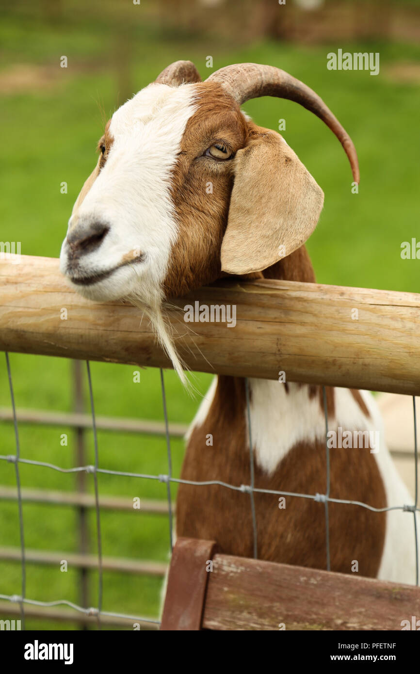 Hello friend hi-res stock photography and images - Alamy