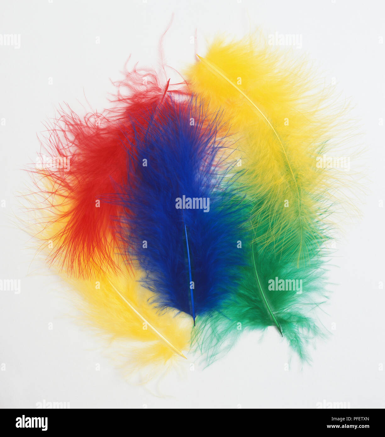 Coloured feathers hi-res stock photography and images - Alamy