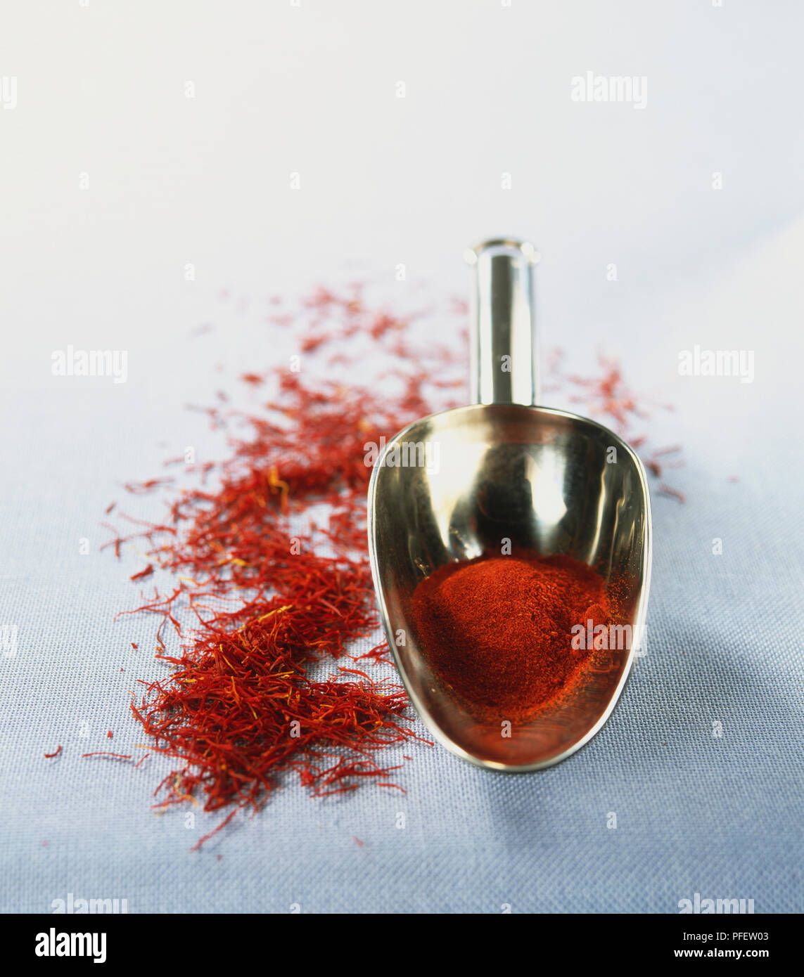 Crocus sativus, Spanish Mancha Saffron, scattered whole threads and ...