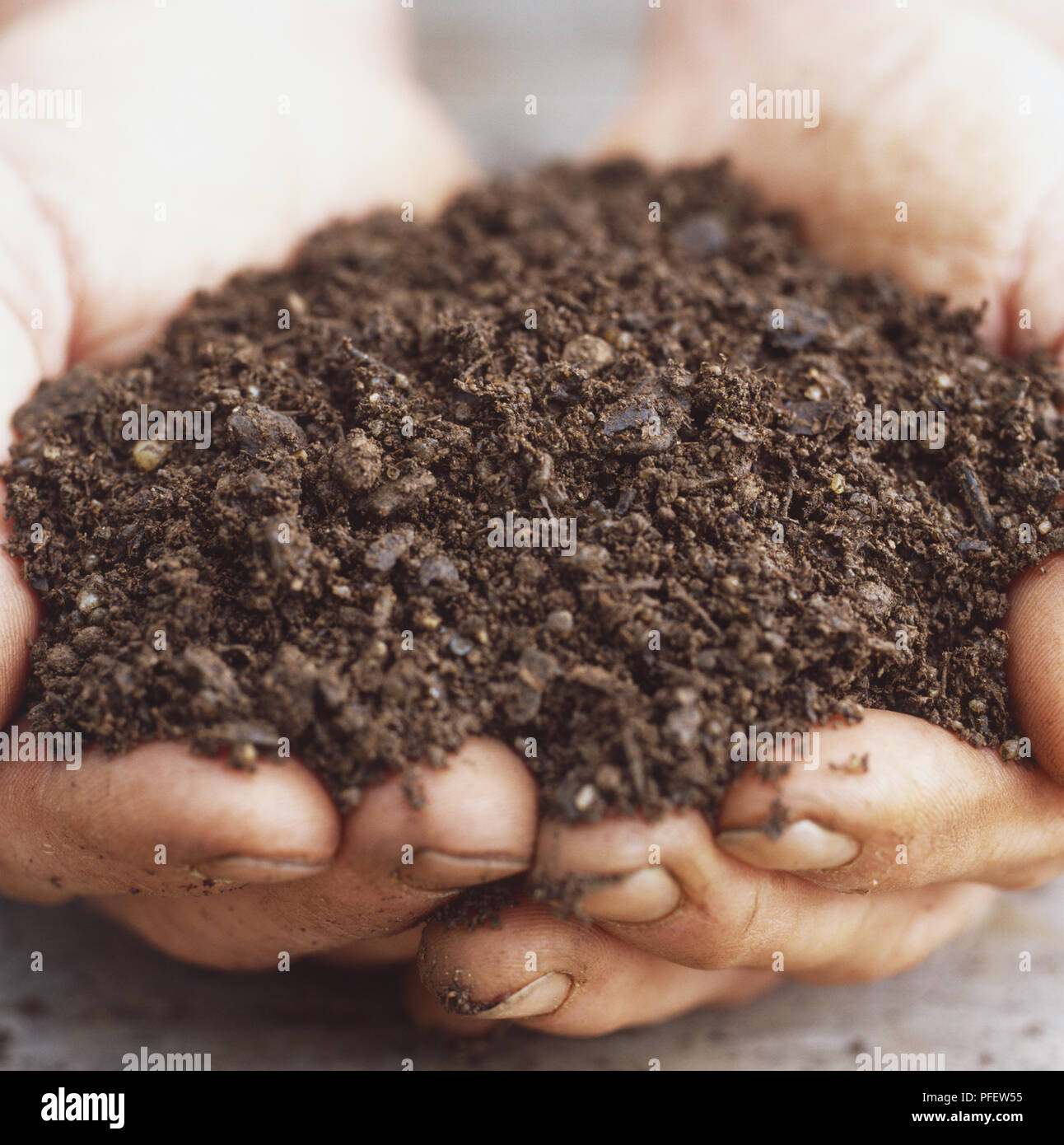 Soil based compost hi-res stock photography and images - Alamy