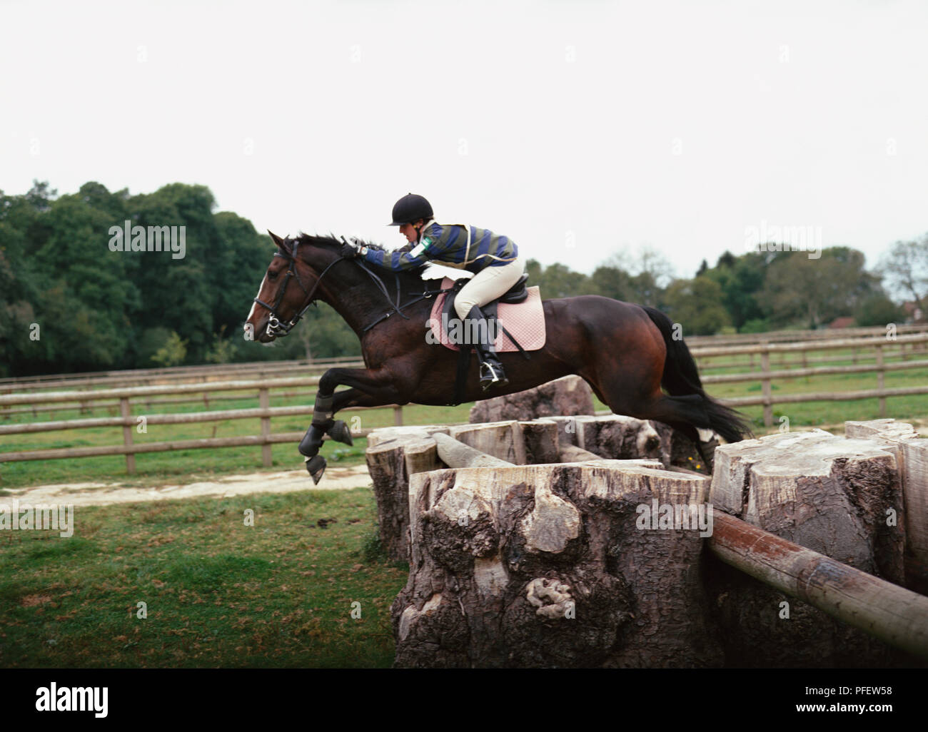 Leaping horse hi-res stock photography and images - Alamy