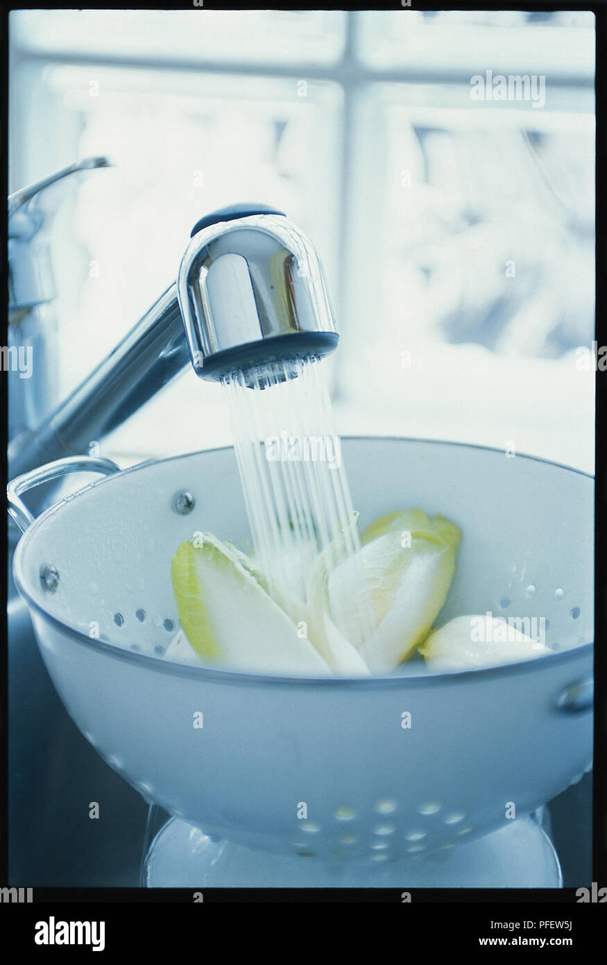 Chicory in water hi-res stock photography and images - Alamy