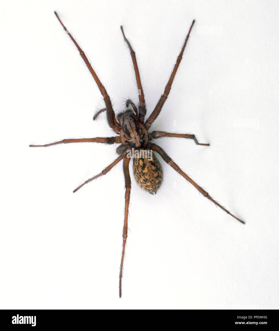 Weavers studio hi-res stock photography and images - Alamy