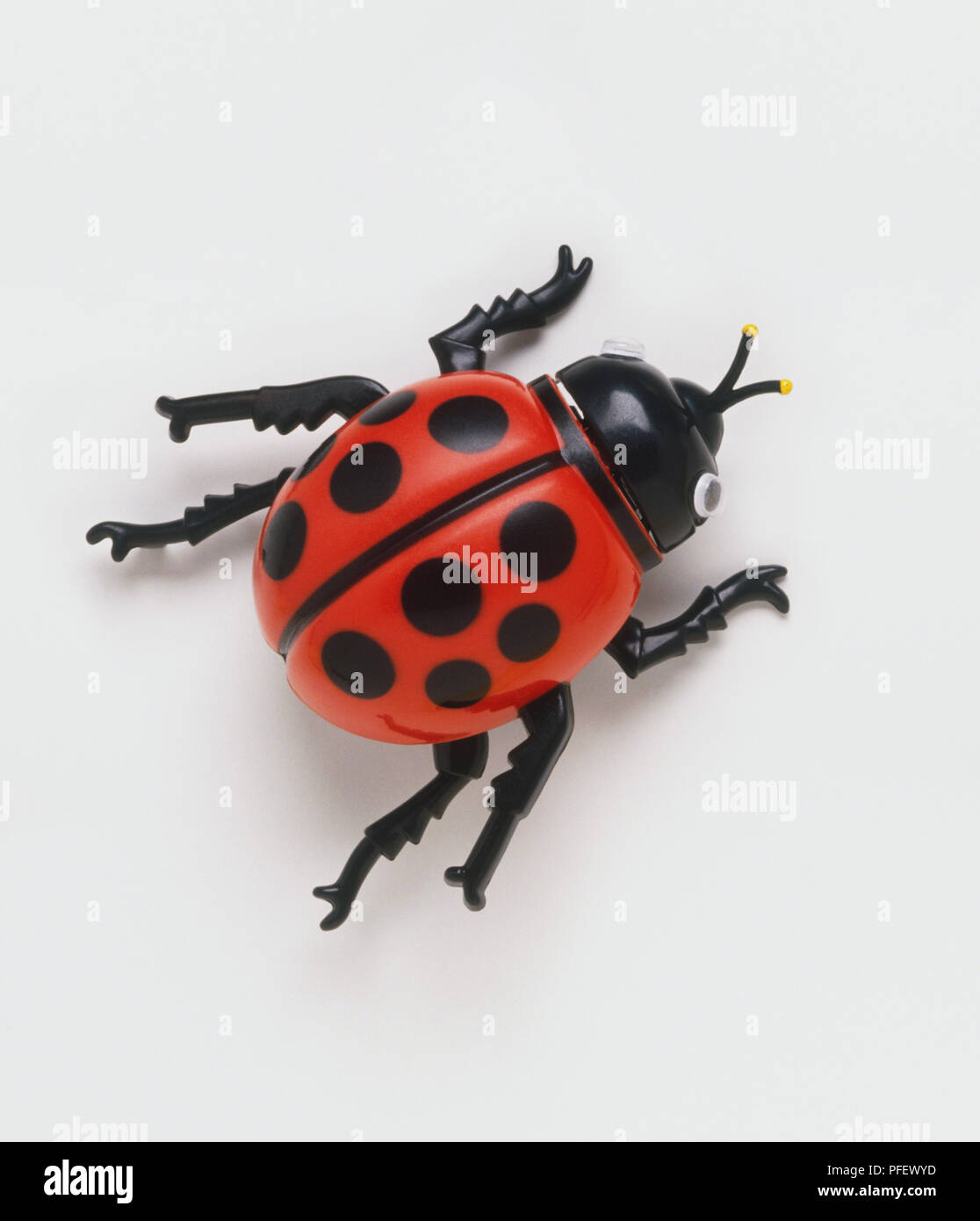 Overhead view of plastic Ladybird Stock Photo - Alamy