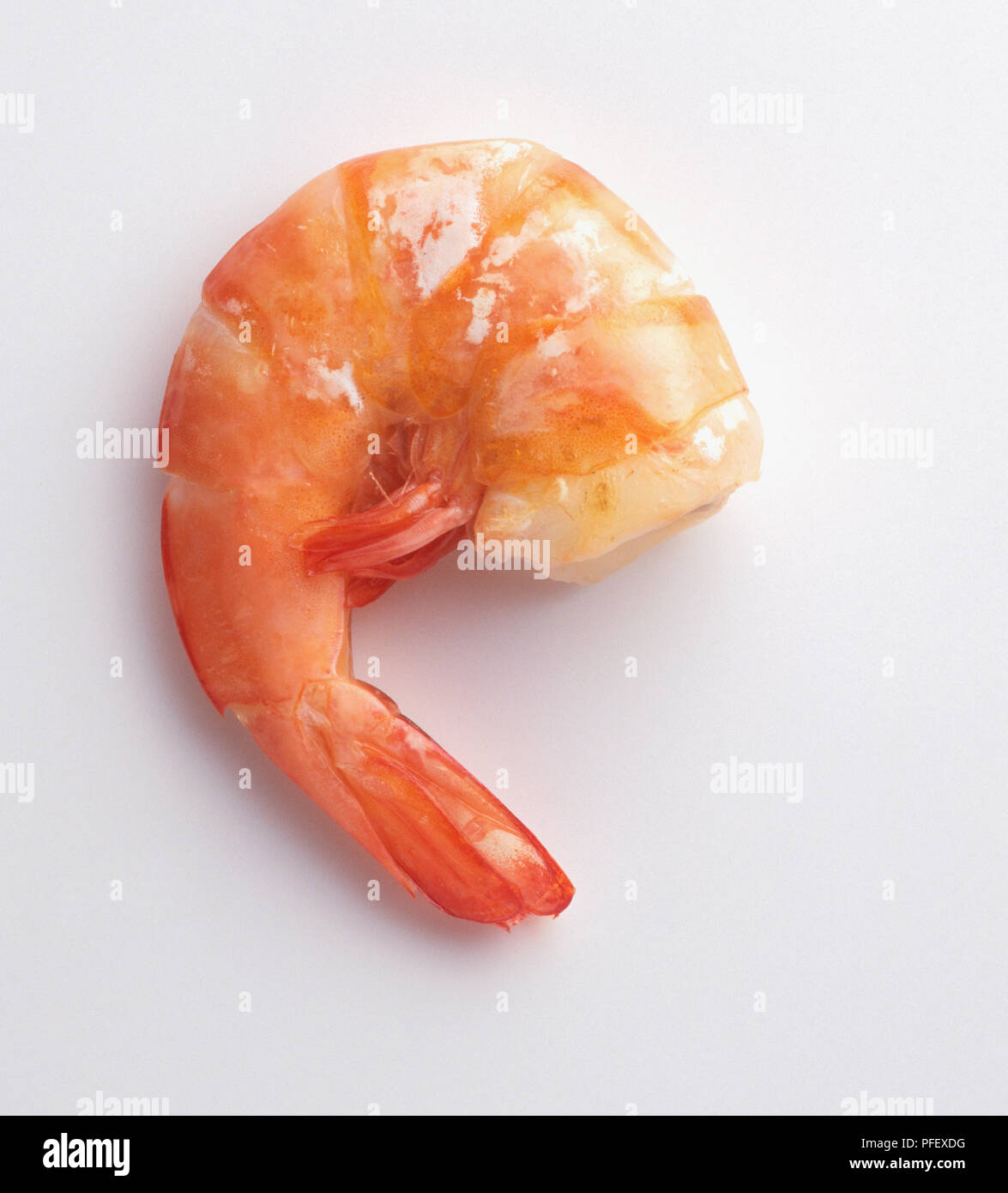Headless shrimp hi-res stock photography and images - Alamy
