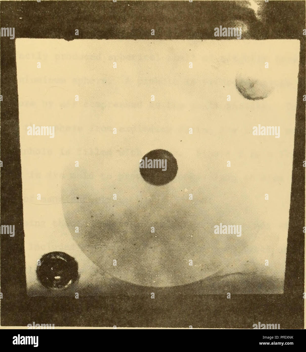 4 1 inch shell hi-res stock photography and images - Alamy