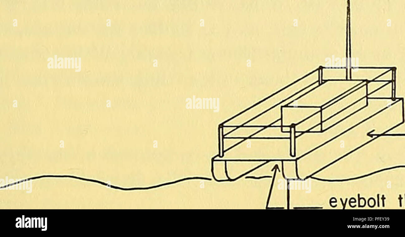 This work explores the design and use of deep-sea moorings and ...