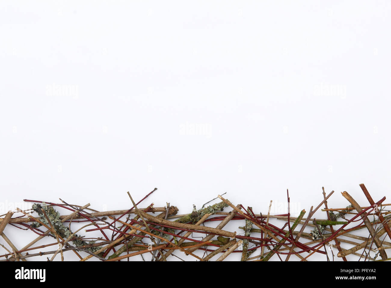Large border hi-res stock photography and images - Alamy