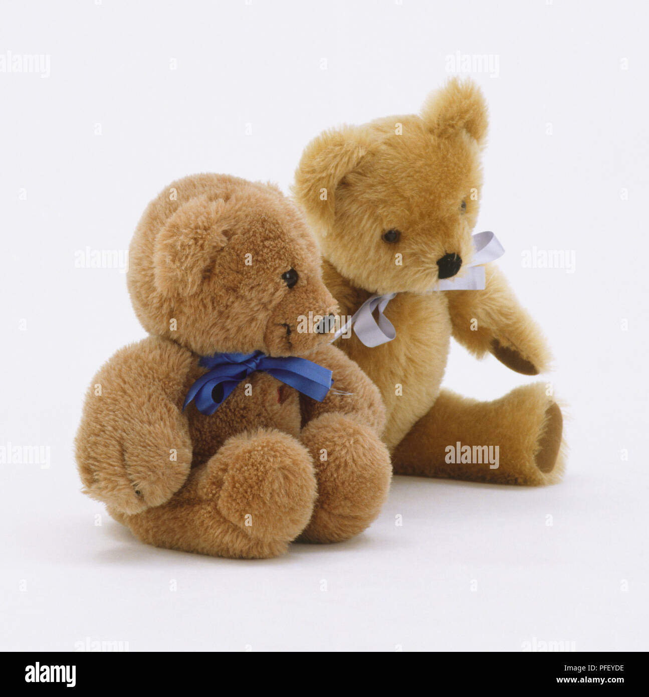 Two brown teddy bears side by side Stock Photo - Alamy