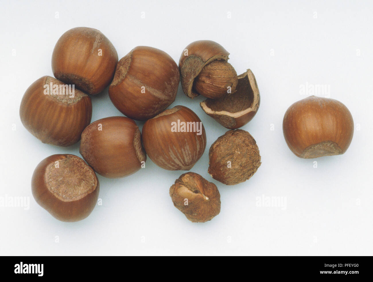 Hazelnut corylus avellana group hi-res stock photography and images - Alamy