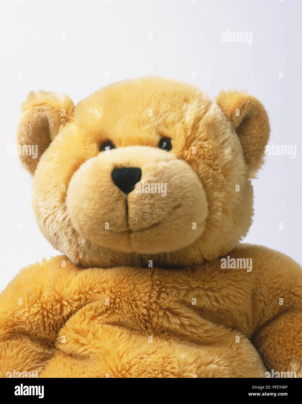 Headshot of teddy bear 'smiling' Stock Photo - Alamy