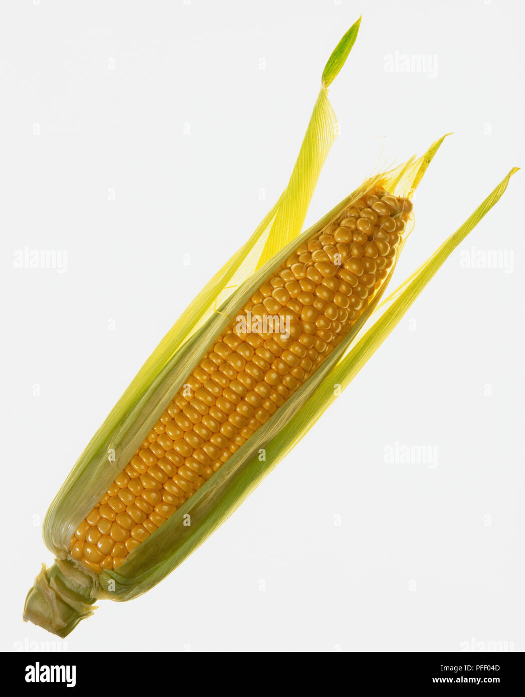 Corn on the cob Stock Photo - Alamy