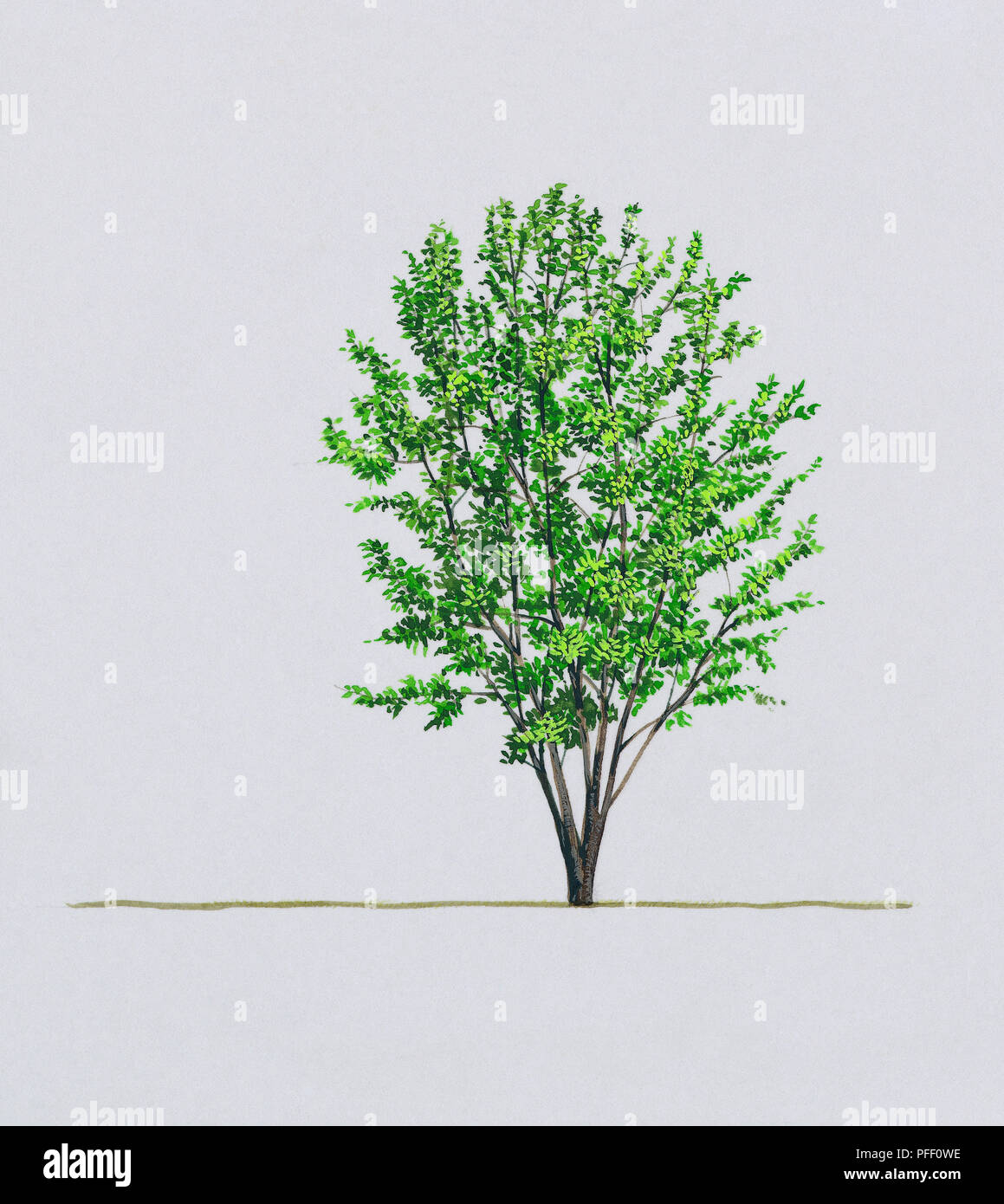 Fire illustration watercolour hi-res stock photography and images - Alamy