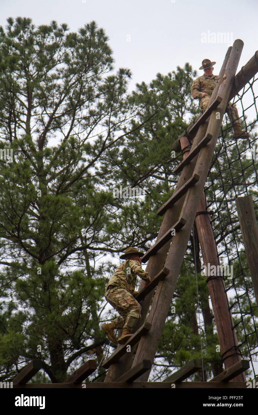 Drill Sergeants with the 108th Training Command (Initial Entry Training ...