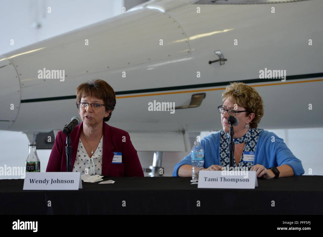 Brig. Gen. Wendy Johnson, the assistant adjundant general of the ...