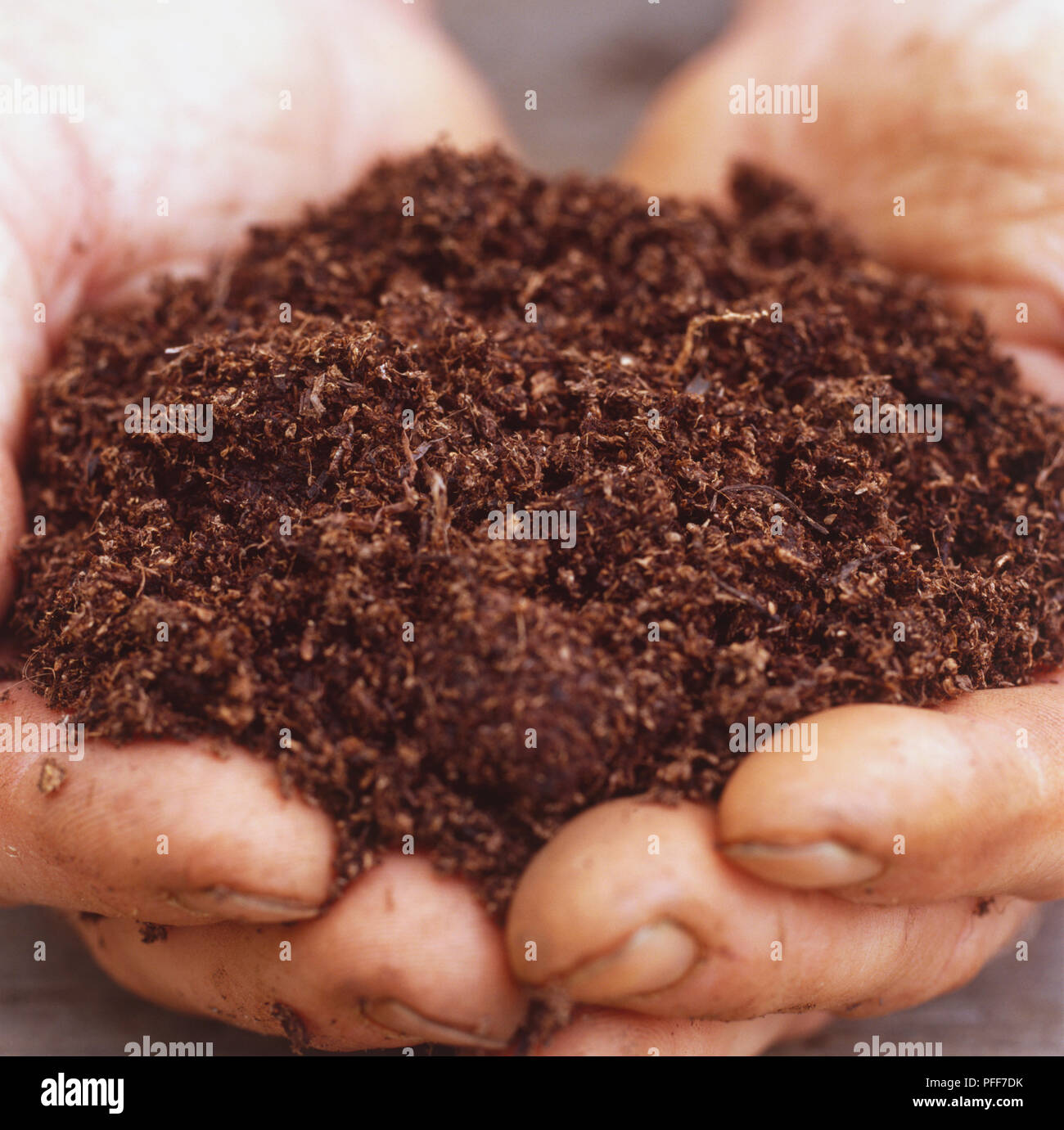 Soil based compost hi-res stock photography and images - Alamy