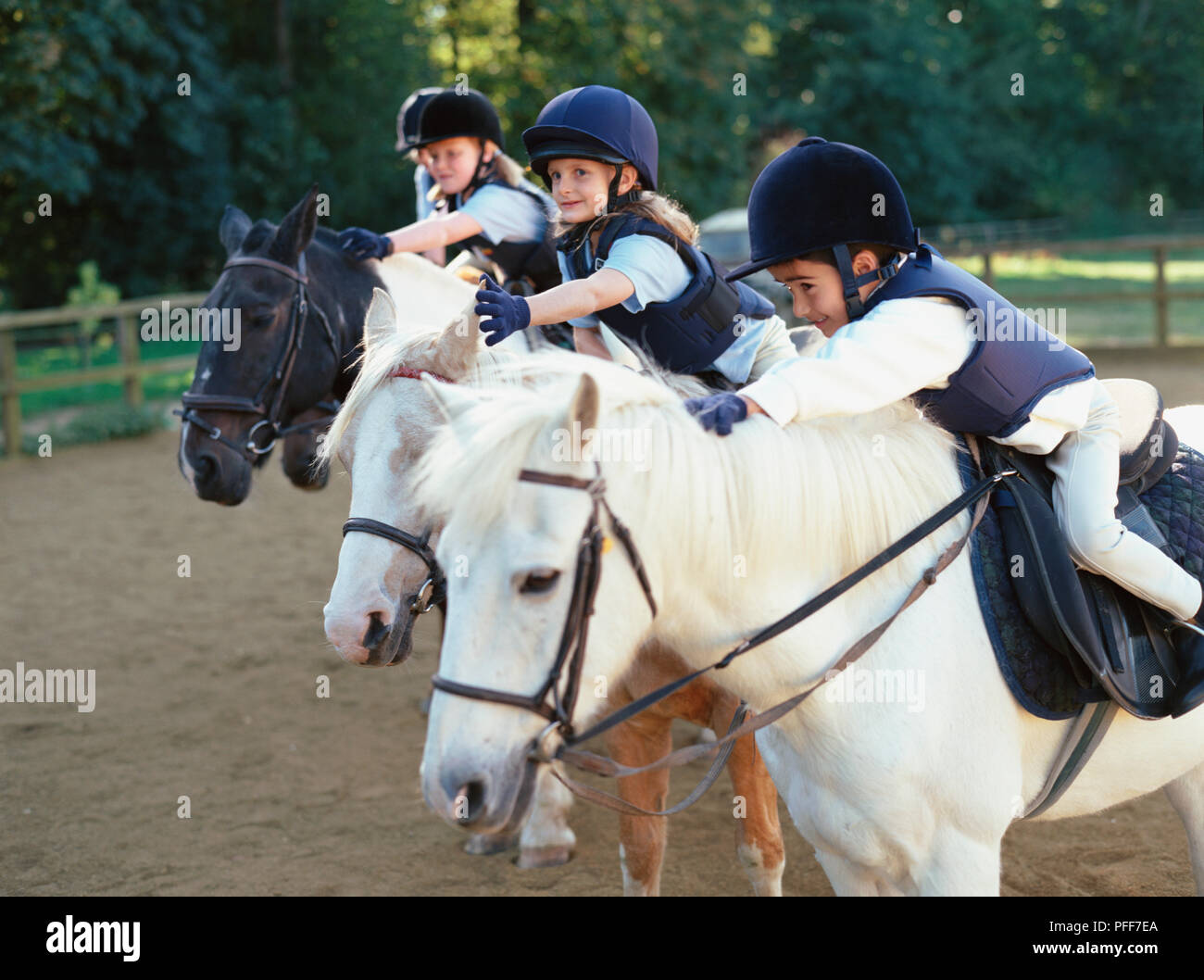 Four childing on four ponies reaching out to touch their forelocks ...