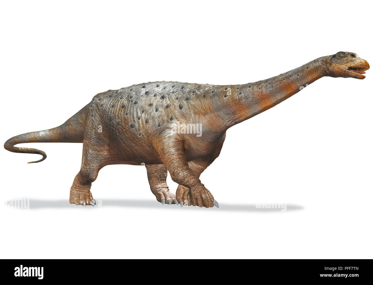 Argentinosaurus hi-res stock photography and images - Alamy