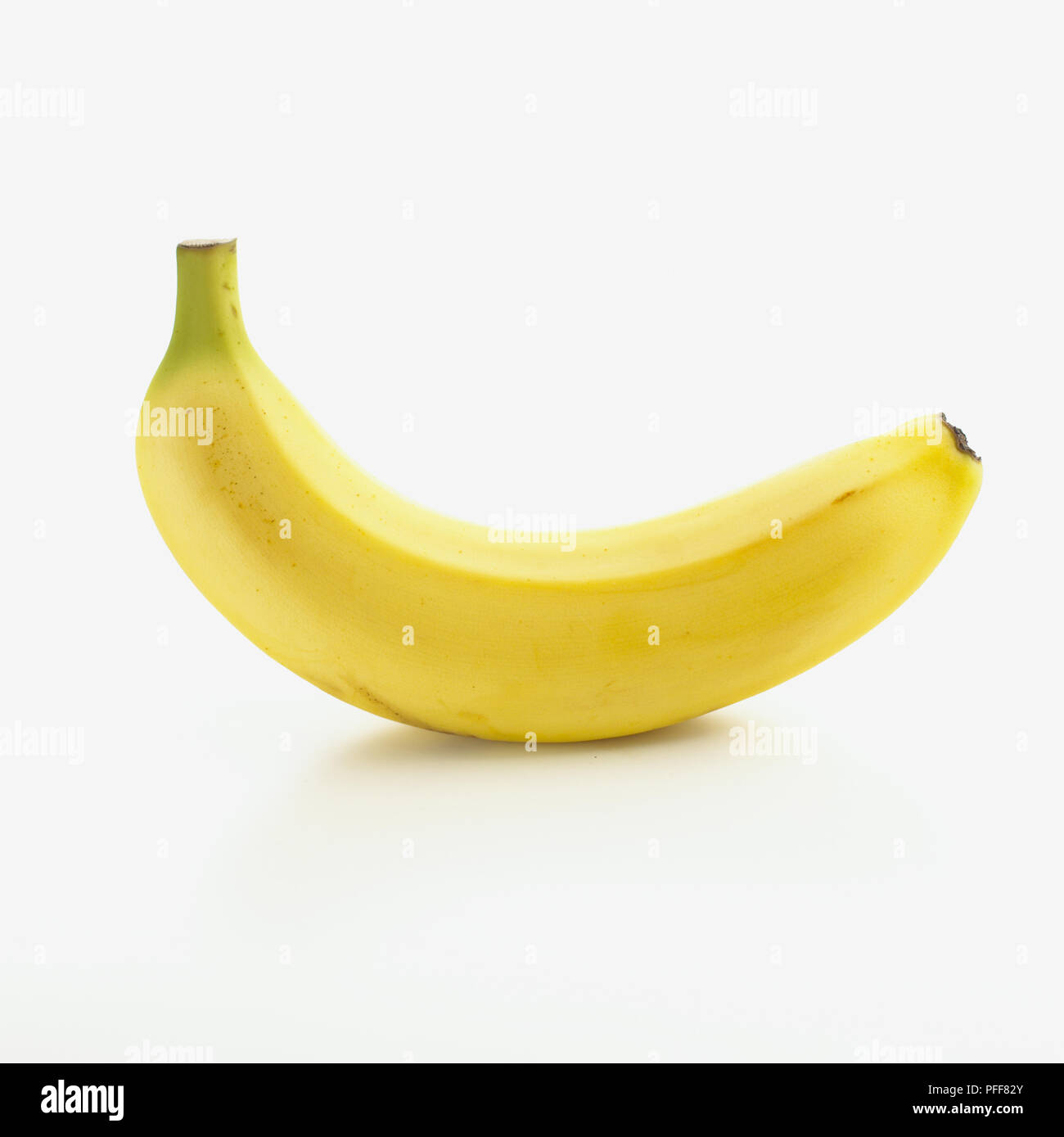 Musa sp hi-res stock photography and images - Alamy