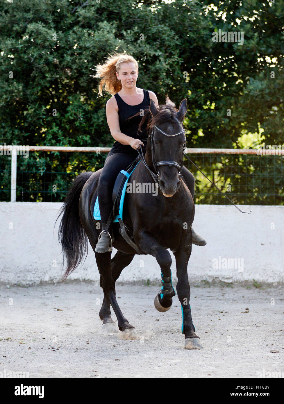 riding girl are training her black horse Stock Photo - Alamy