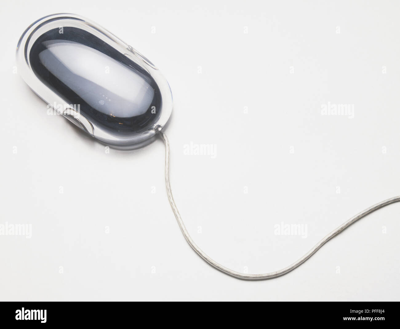 A computer mouse, view from above Stock Photo - Alamy