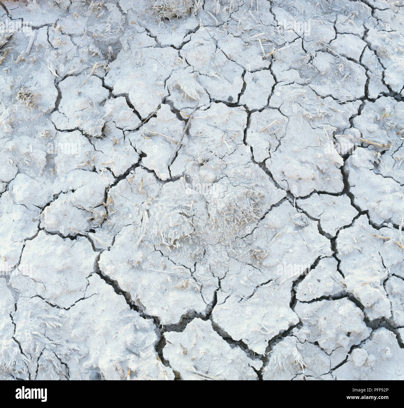 Grey cracked earth Stock Photo - Alamy