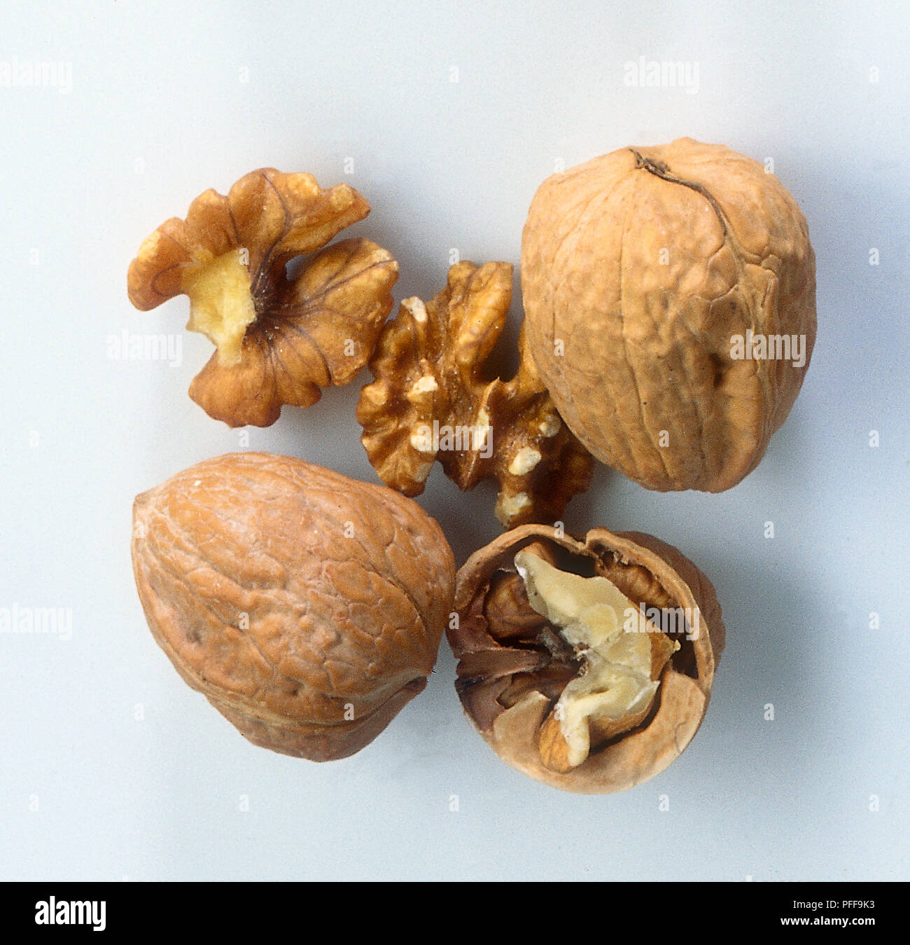 Two lobed hi-res stock photography and images - Alamy