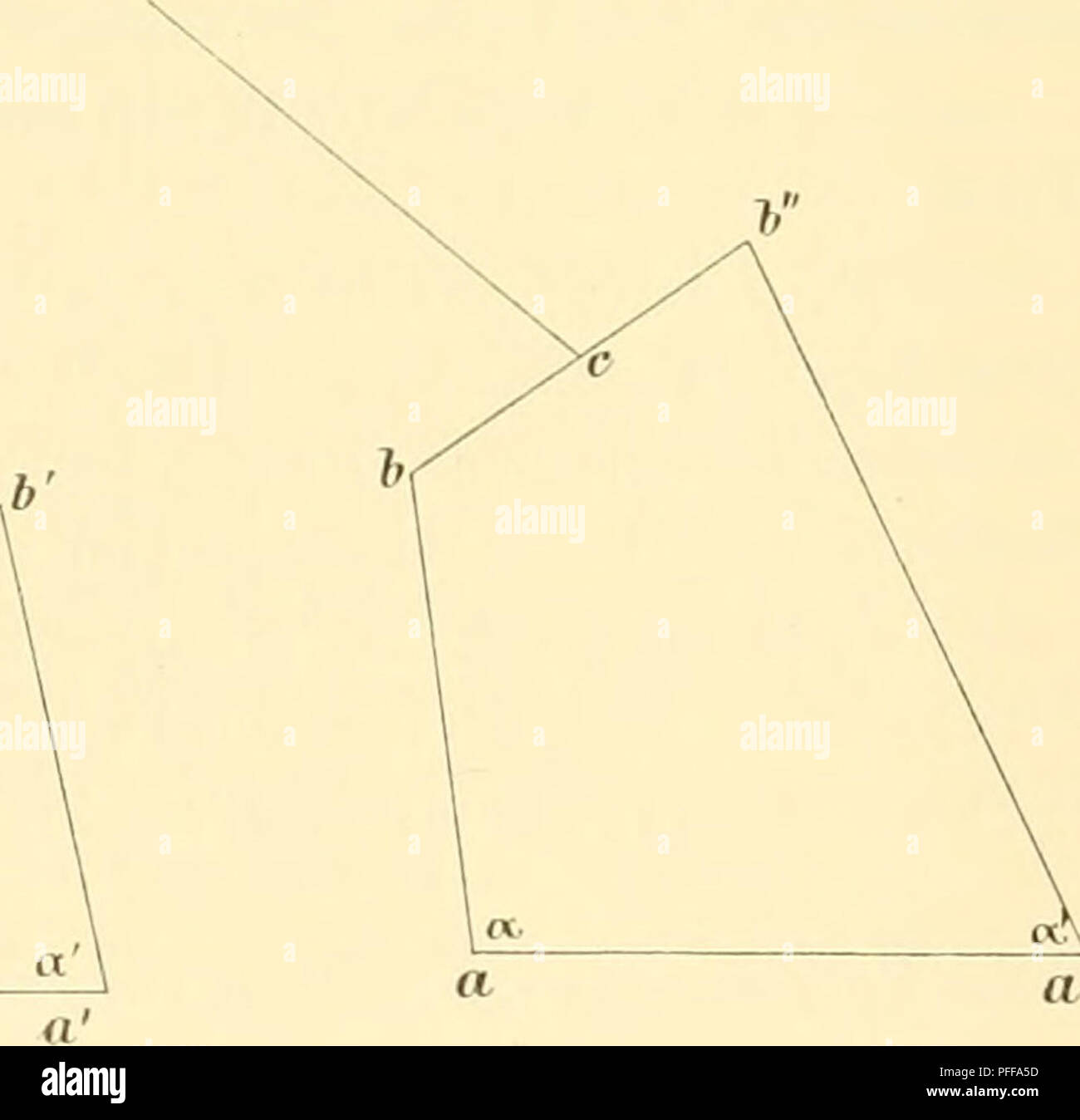 This publication contains mathematical and anatomical studies by Carl ...