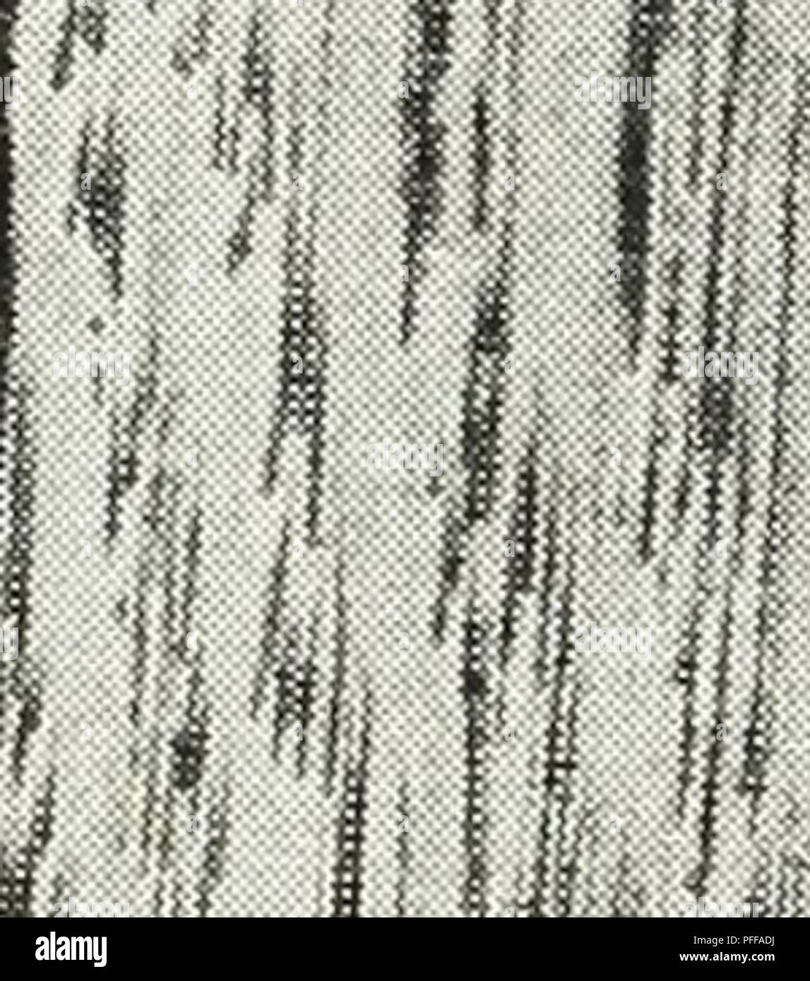 This study focuses on the defects caused by wood-boring insects like ...