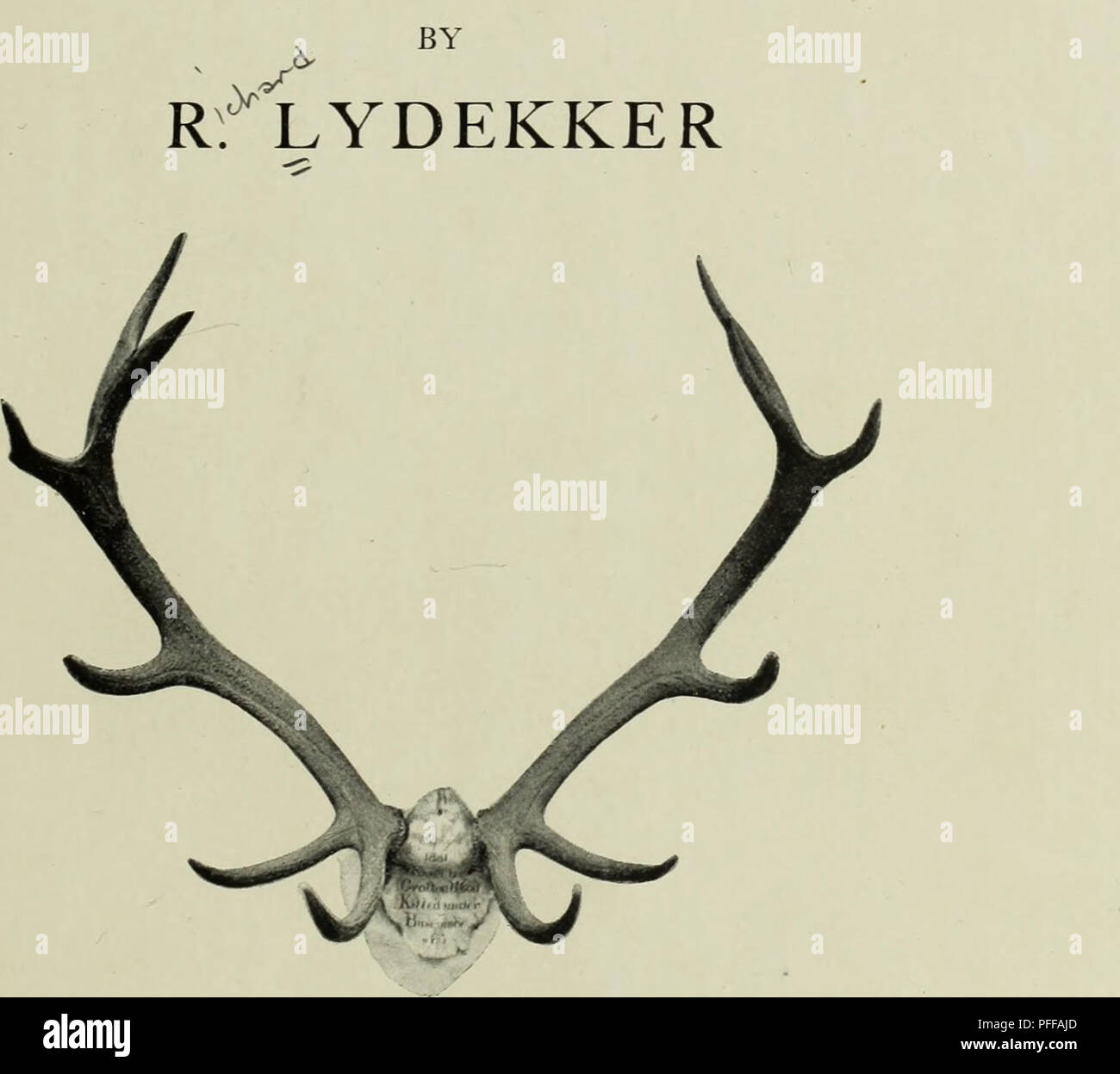 This historical work, published in 1898, explores the family Cervidae ...