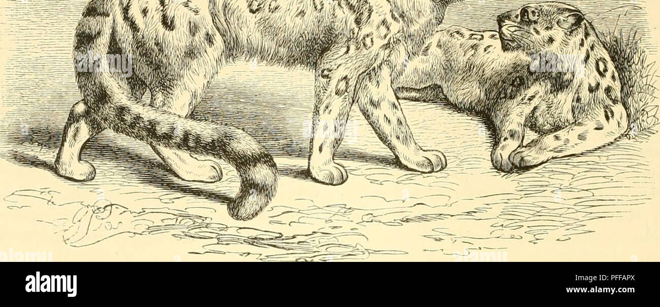 This work highlights the species of birds in the Royal Zoological ...