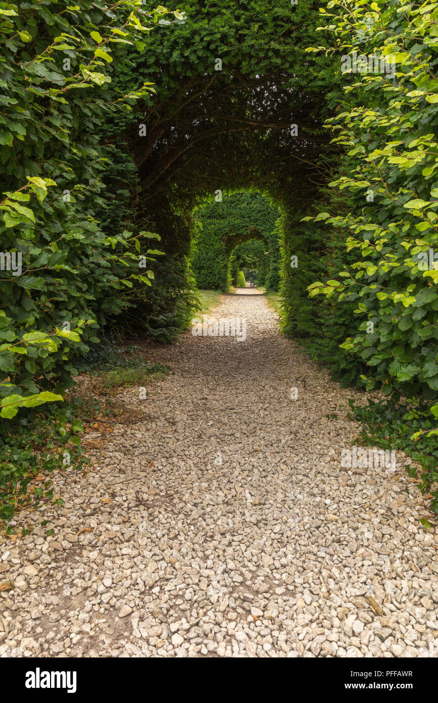 Arched hedges leading to St Michael & All Angels church in Brimpsfield ...