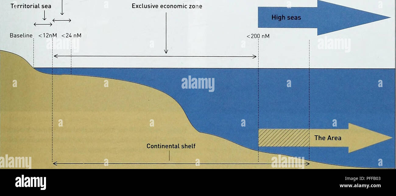 This report examines deep-sea biodiversity, governance, and management ...