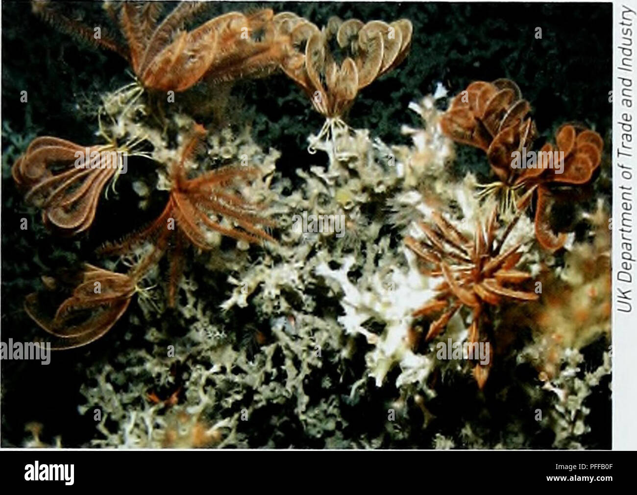 Calcium hydrogen carbonate hi-res stock photography and images - Alamy