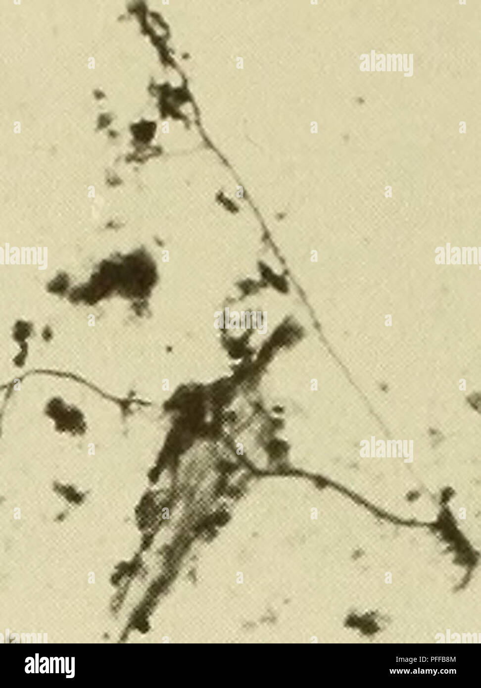 This study examines deep-ocean microbial activity and its impact on the ...