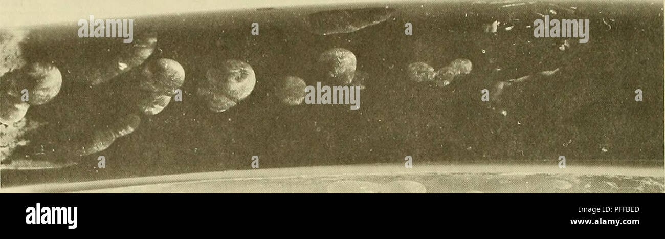 This study explores the impact of deep-ocean environments on the ...