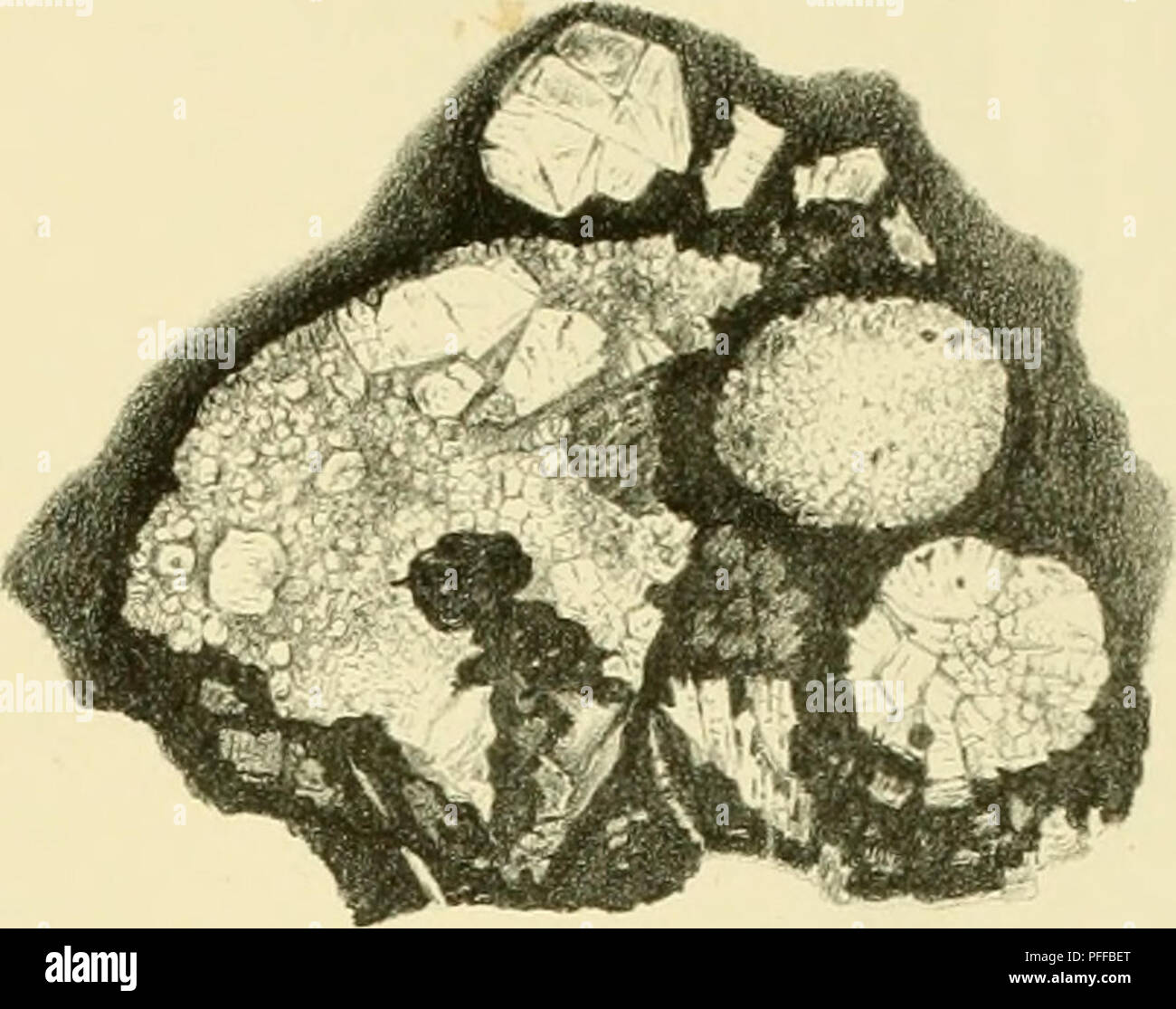 This academic journal presents scholarly papers from the Imperial ...