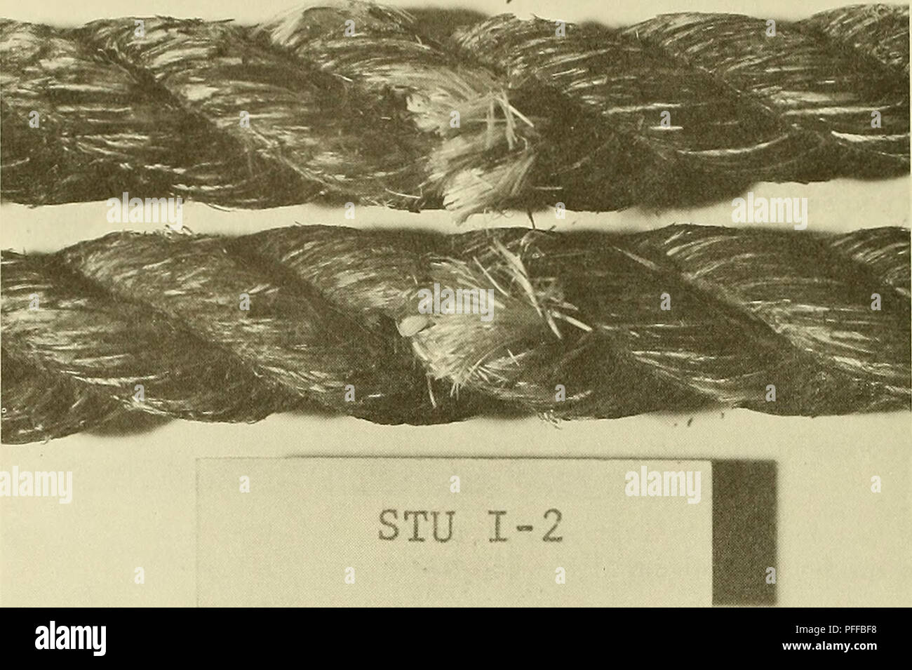 . Deep-ocean biodeterioration of materials. Materials; Marine sediments ...