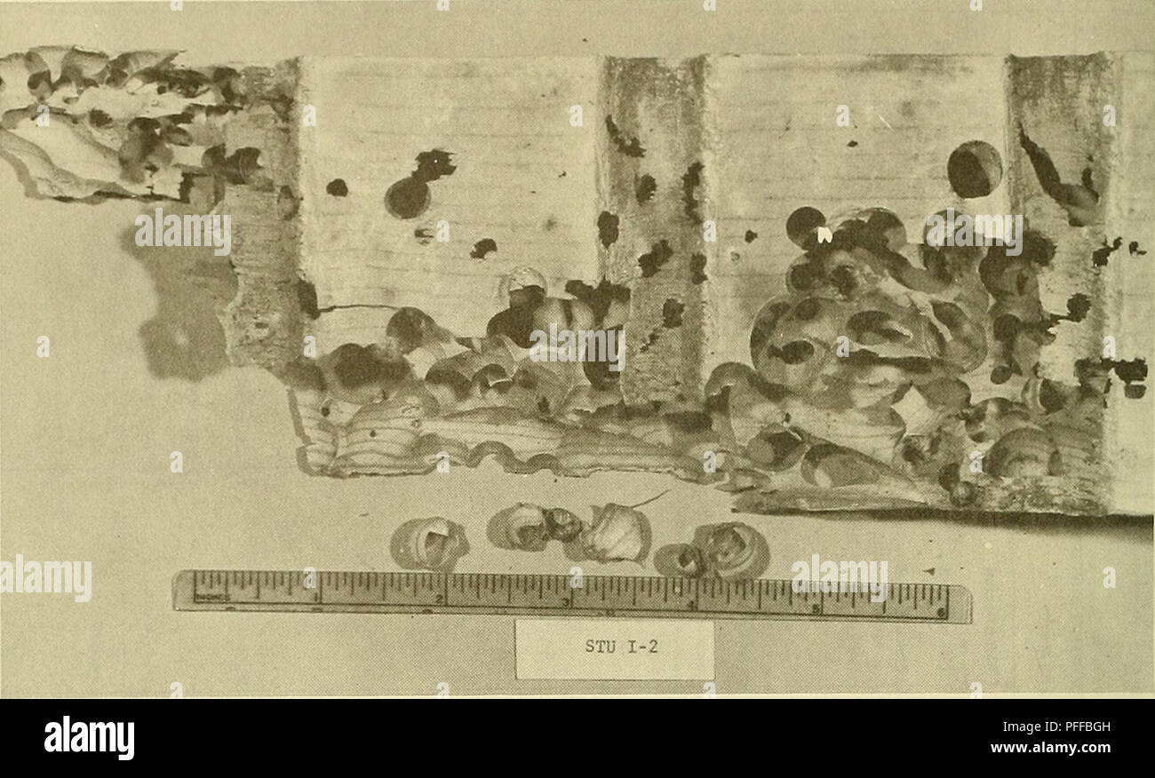 . Deep-ocean biodeterioration of materials. Materials; Marine sediments ...