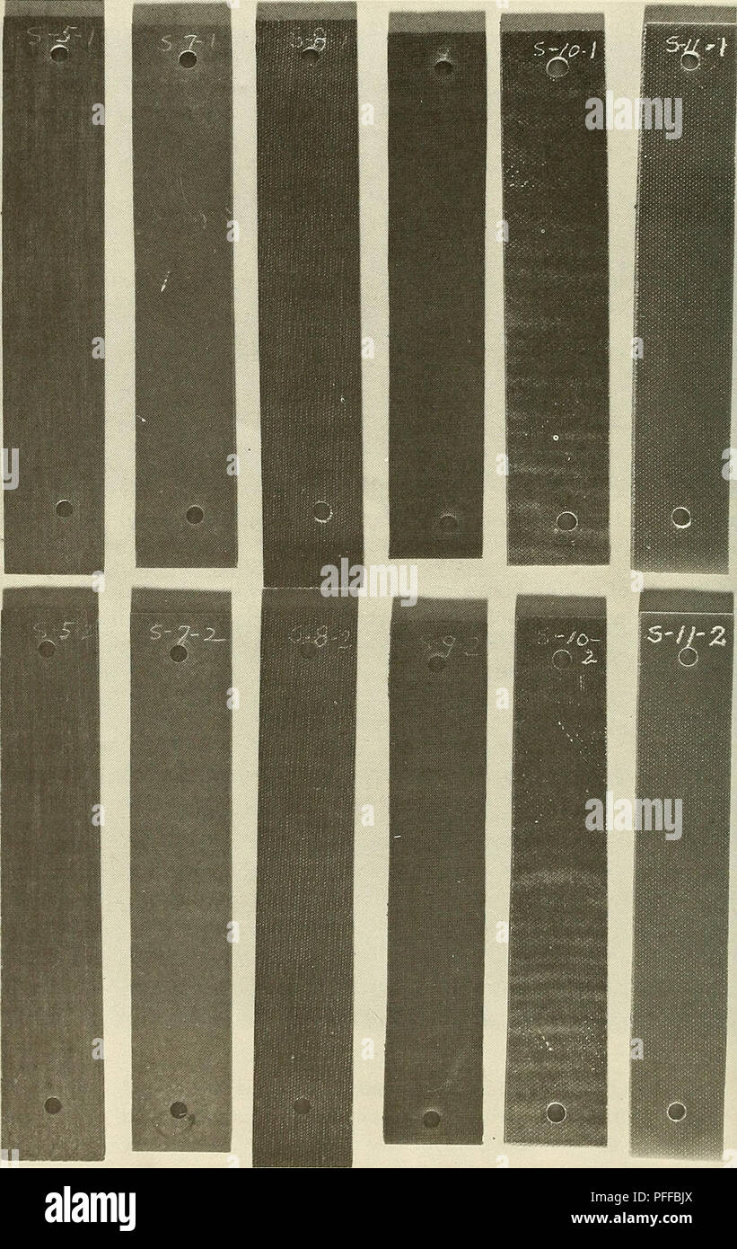 A report on the biodeterioration processes of materials exposed to the ...