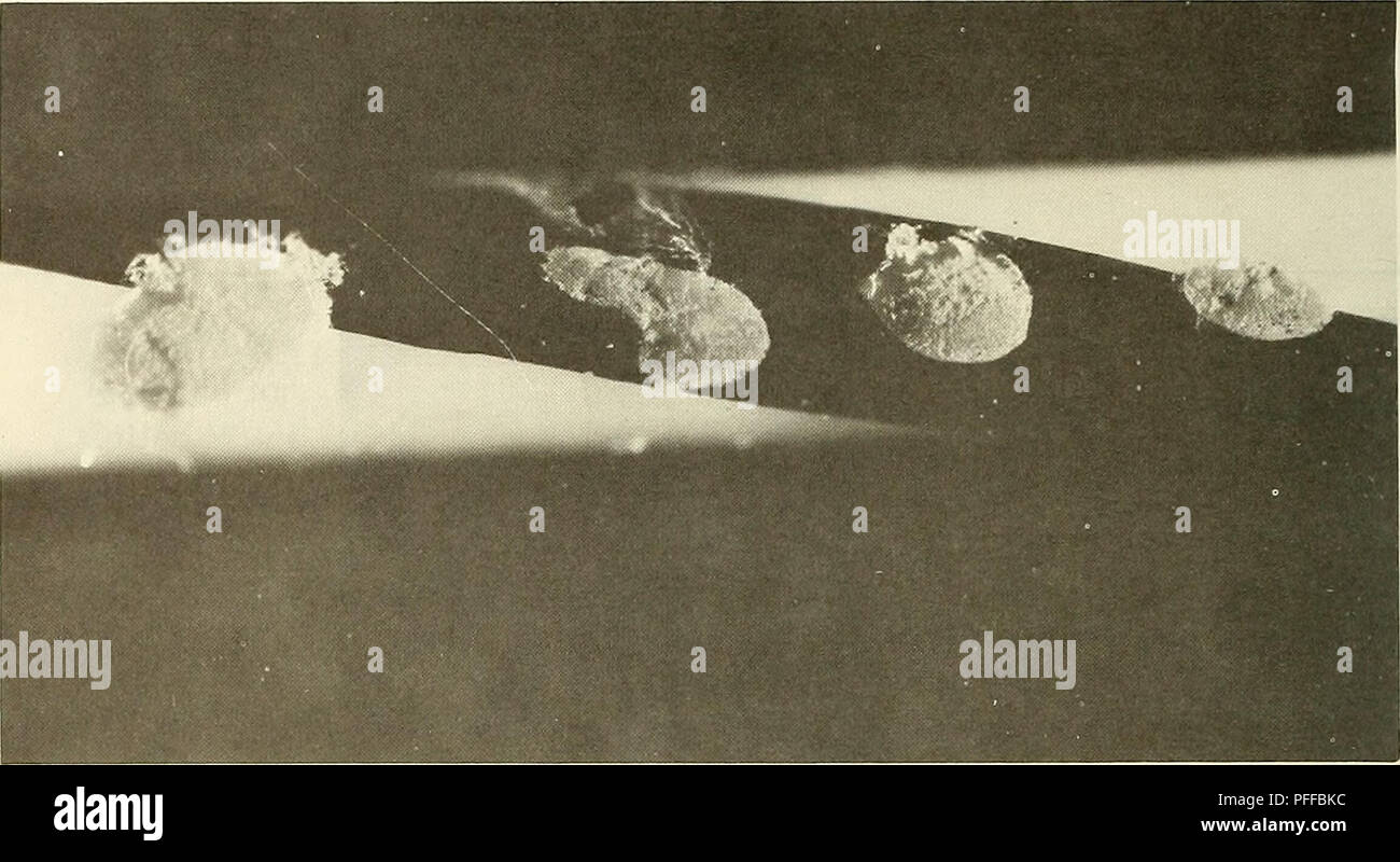 This study investigates the effects of deep-ocean conditions on the ...