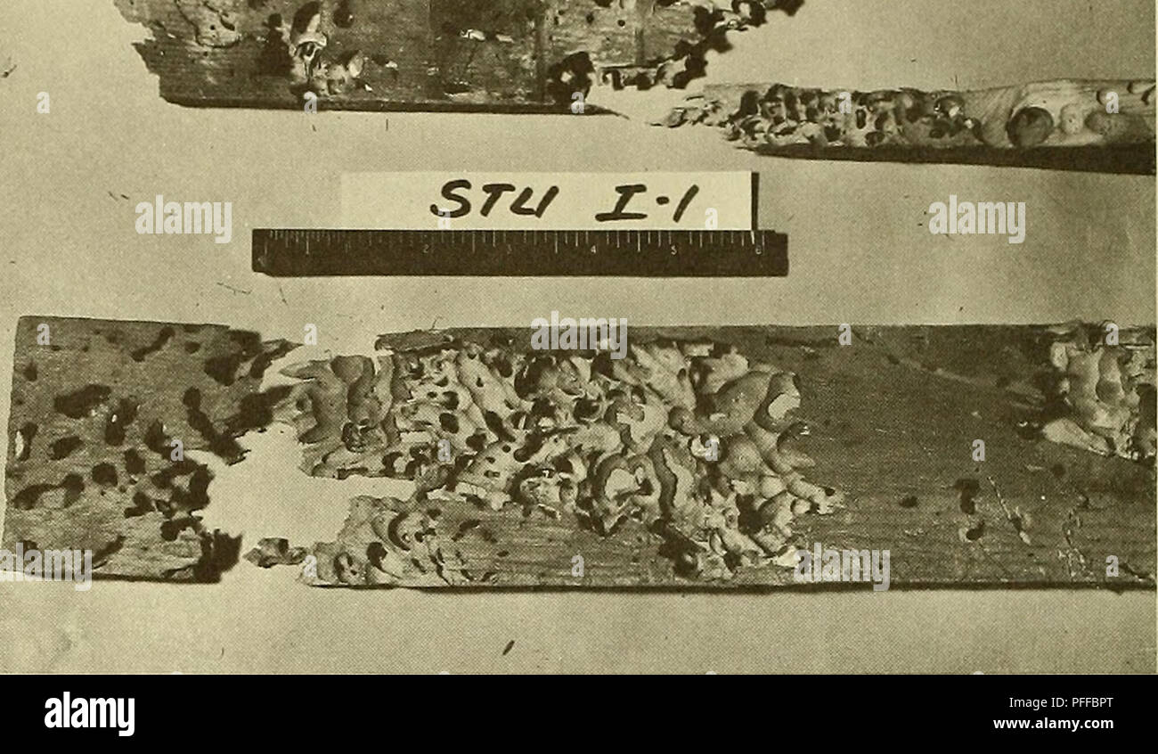 This image depicts the biodeterioration process of materials in deep ...