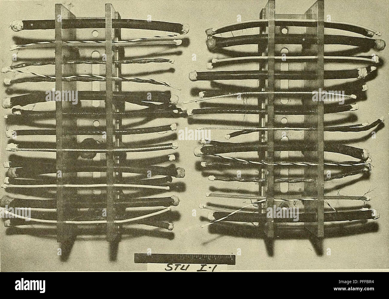 This study examines the effects of microorganisms and borers on ...