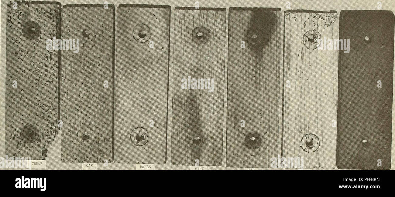 The study of deep-ocean biodeterioration focuses on how marine ...